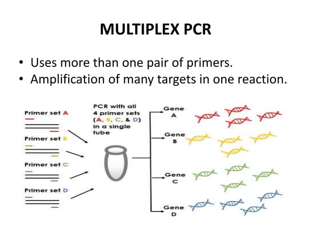 Molecular diagnostic techniques | PPTX | Chemistry | Science