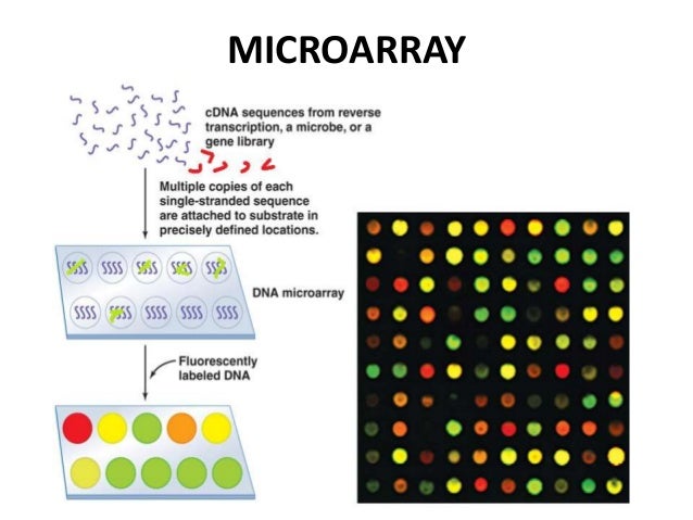 Molecular diagnostic techniques