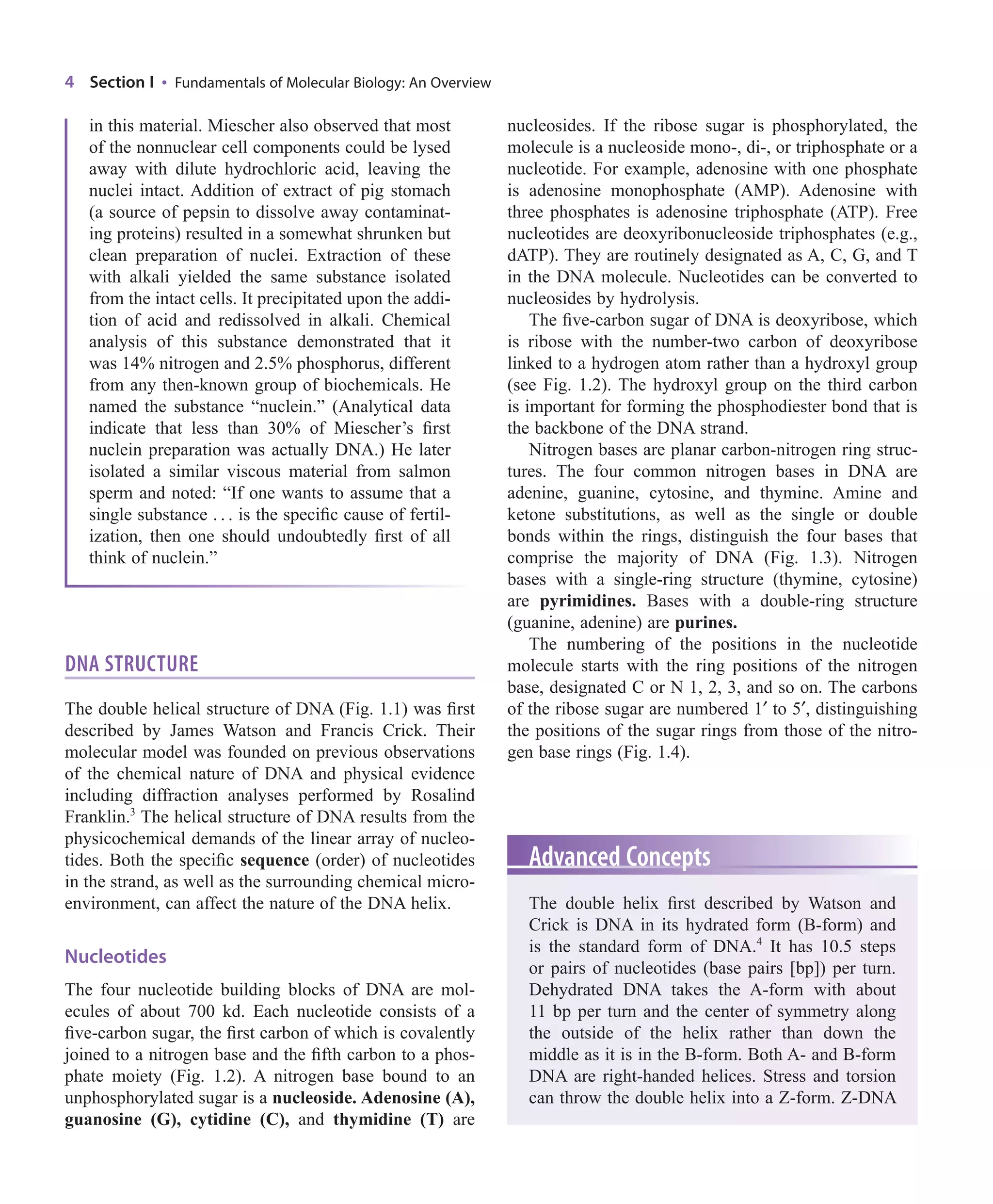 molecular diagnostic text book third edition.pdf