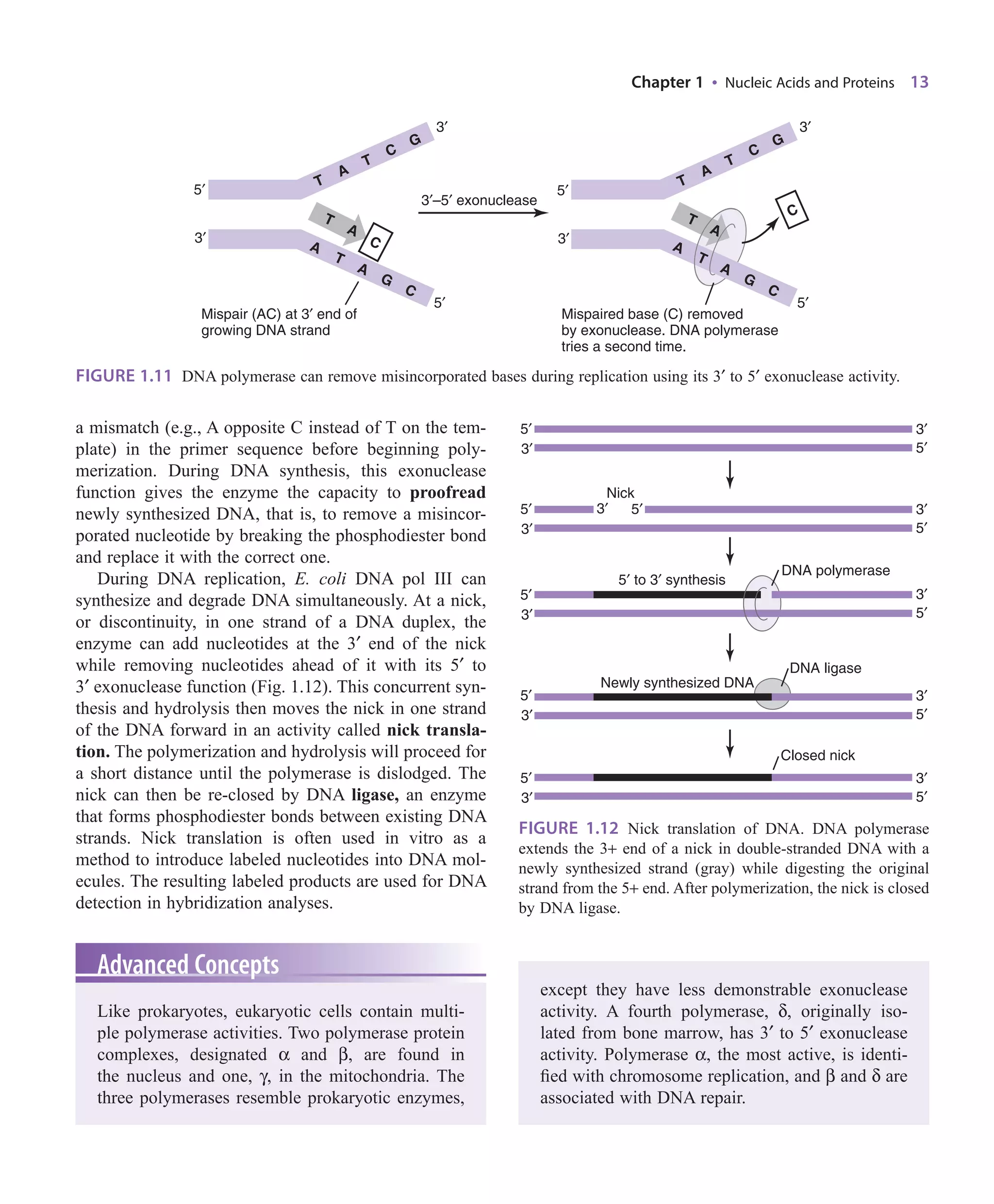 molecular diagnostic text book third edition.pdf