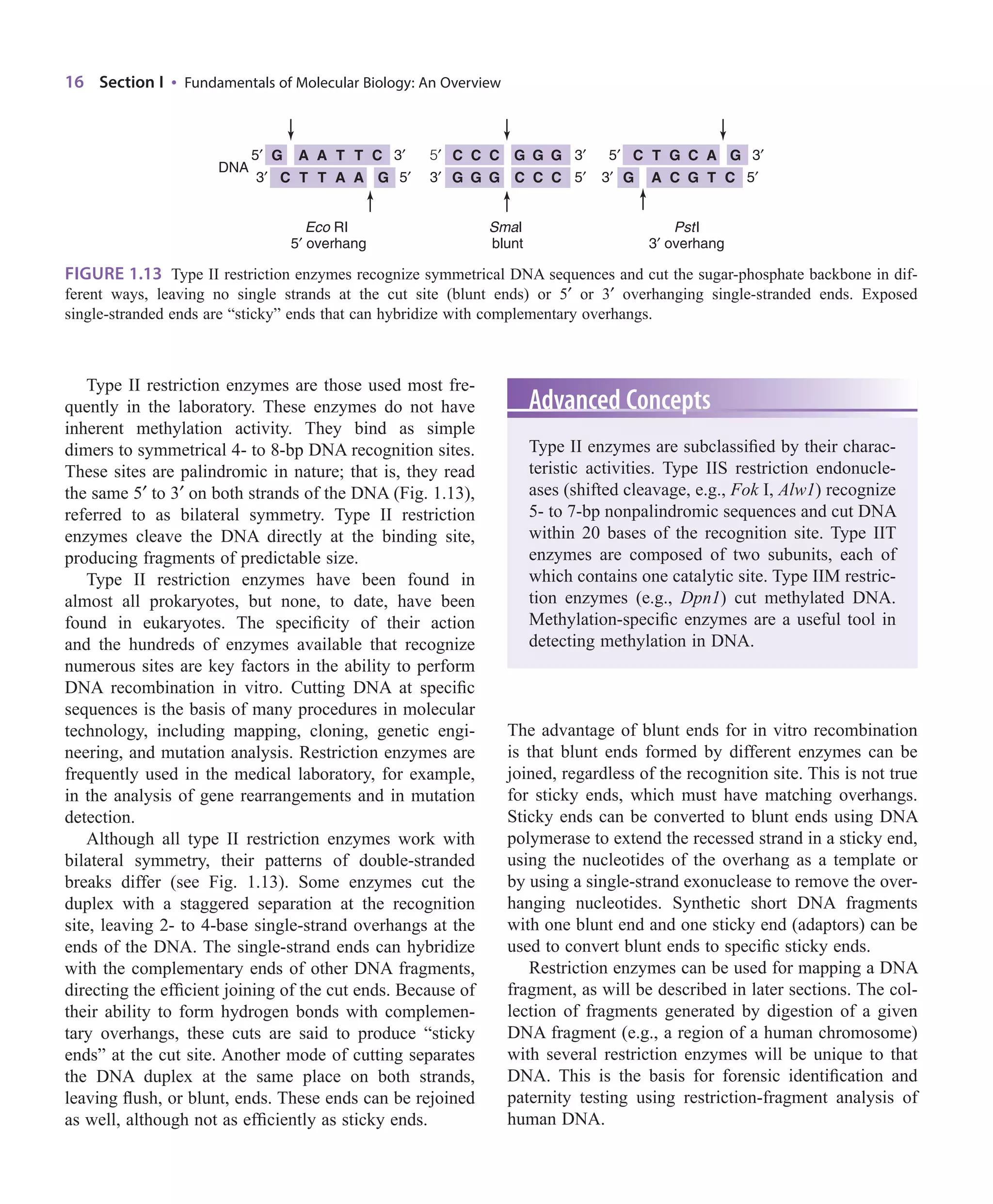 molecular diagnostic text book third edition.pdf