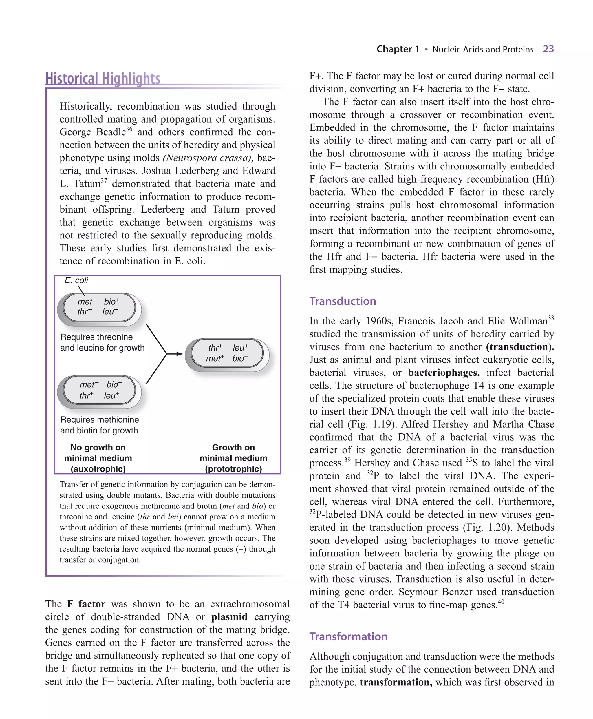 molecular diagnostic text book third edition.pdf