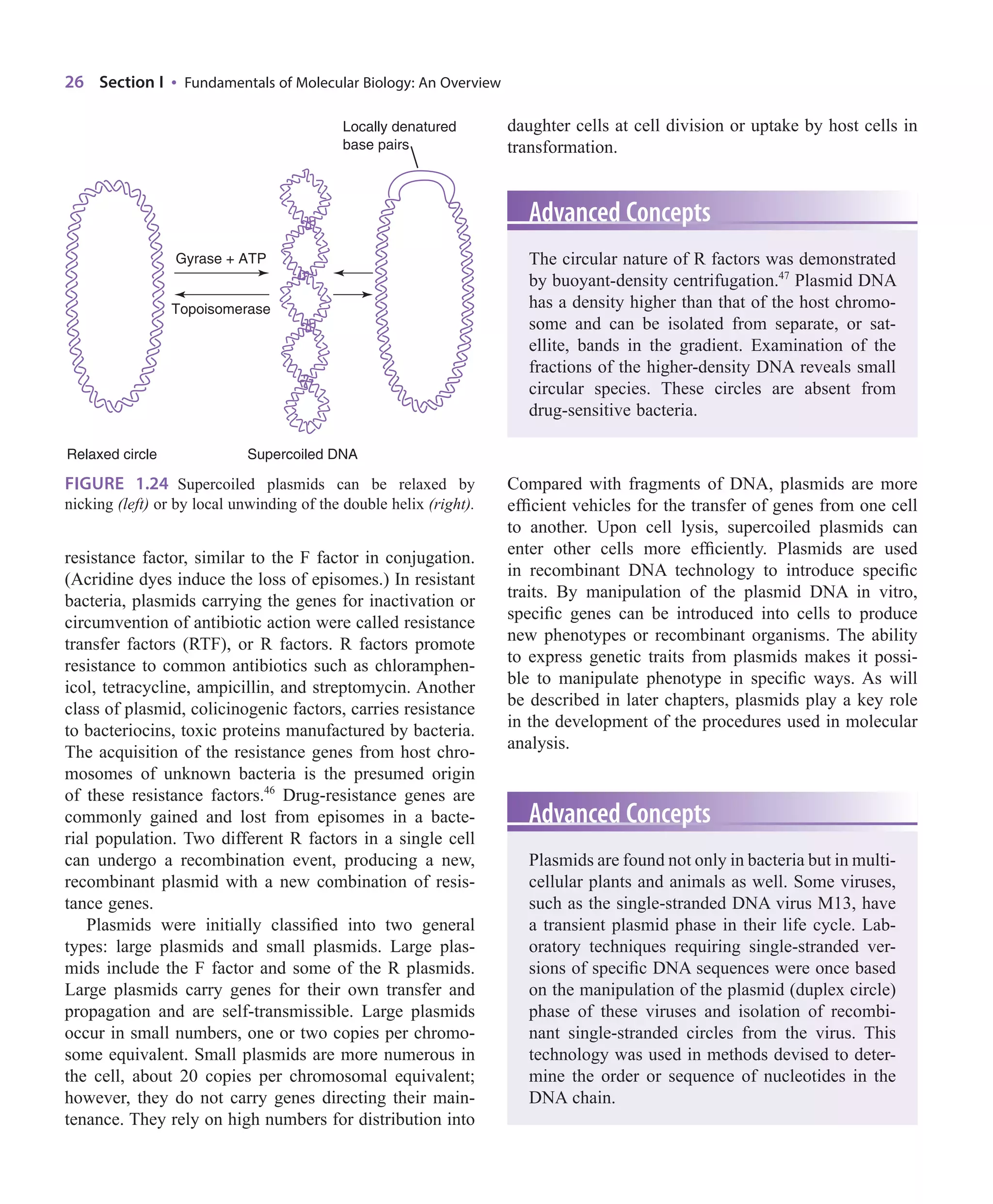 molecular diagnostic text book third edition.pdf
