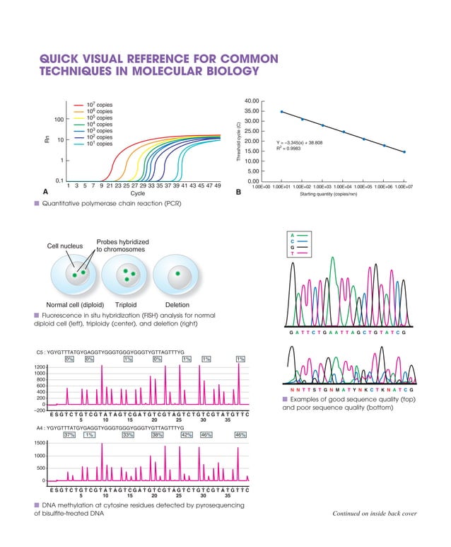 molecular diagnostic text book third edition.pdf | Genetics | Science