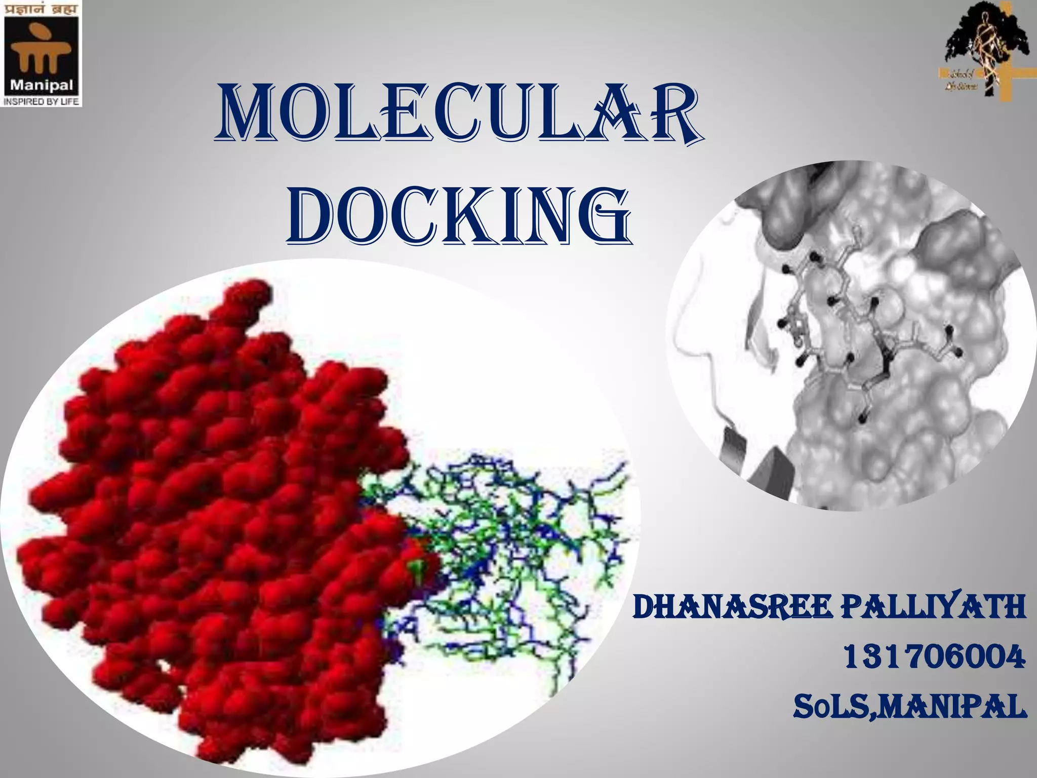 Molecular docking | PPTX