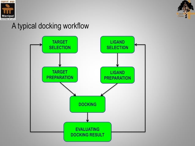 Molecular docking | PPTX
