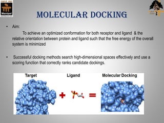 Molecular Docking