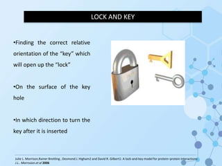 Molecular docking.pptx