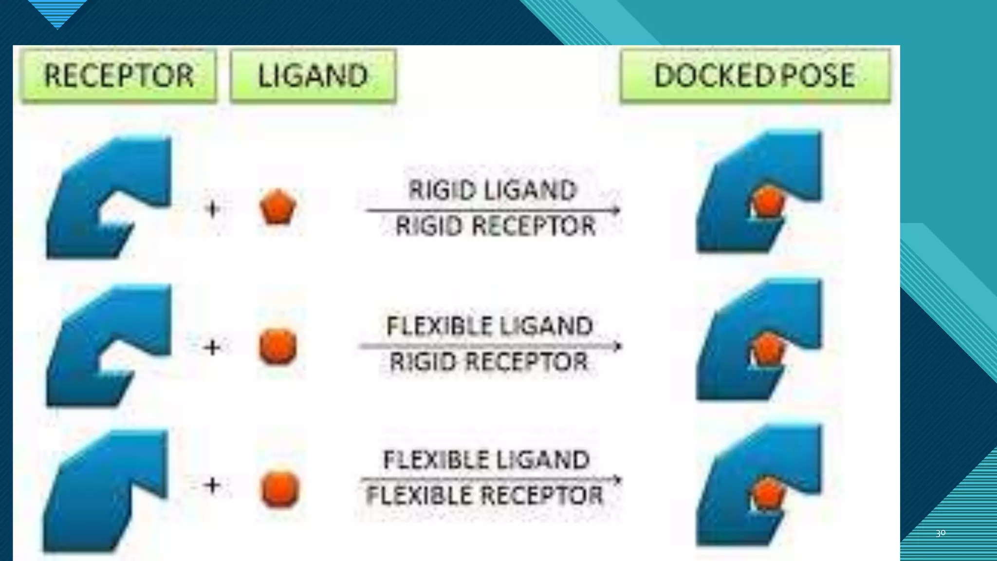 MOLECULAR DOCKING.pptx