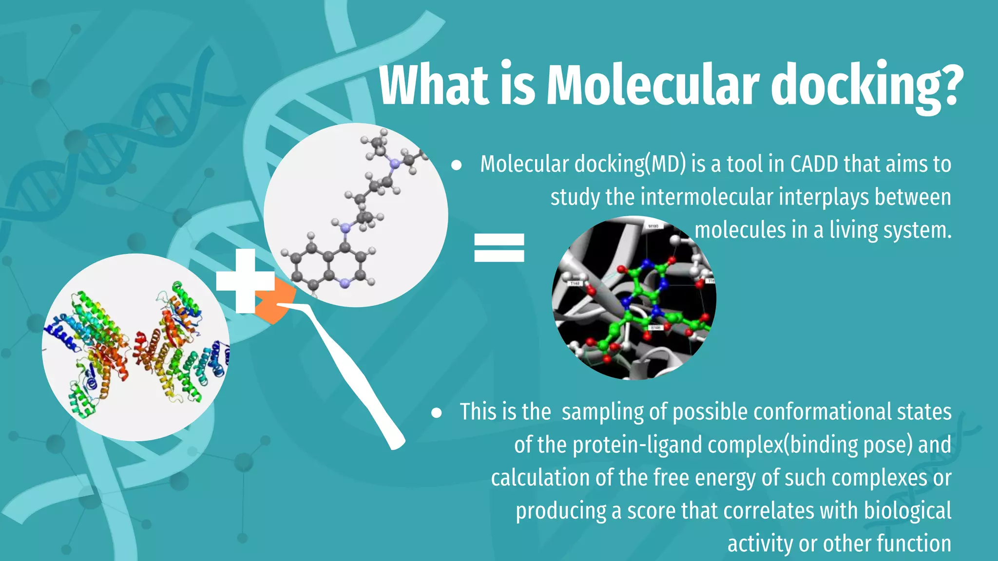 MOLECULAR DOCKING.pptx