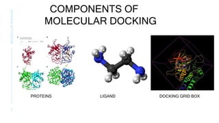 Molecular docking.pptx