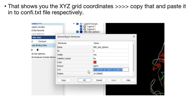 Molecular docking of small molecules using AutoDock vina.pdf ...
