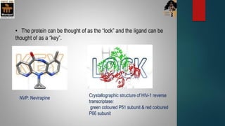 molecular docking.pdf.bioinformatics@786 | PDF