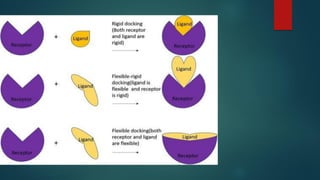 molecular docking.pdf.bioinformatics@786 | PDF