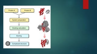 molecular docking.pdf.bioinformatics@786 | PDF