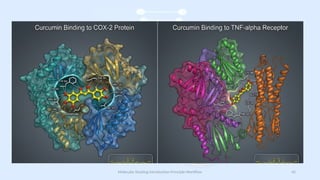 Molecular Docking: Principles, Workflow, and Applications in Ayurveda ...