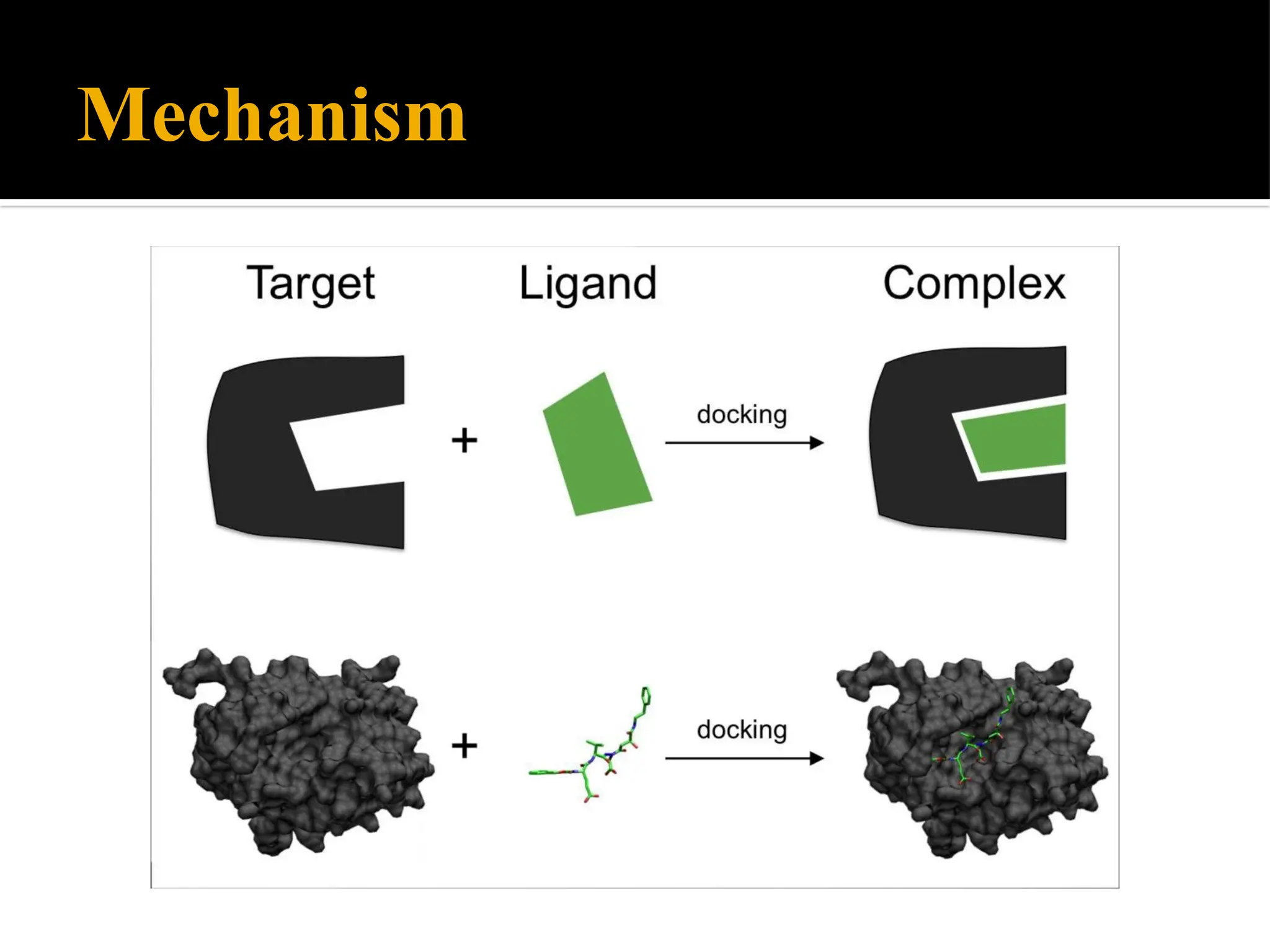 Molecular Docking and its Applications.pptx