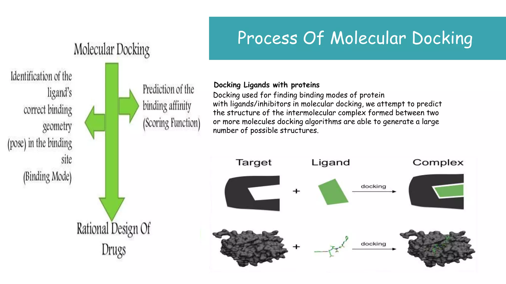 Molecular docking and its importance in drug design | PPTX