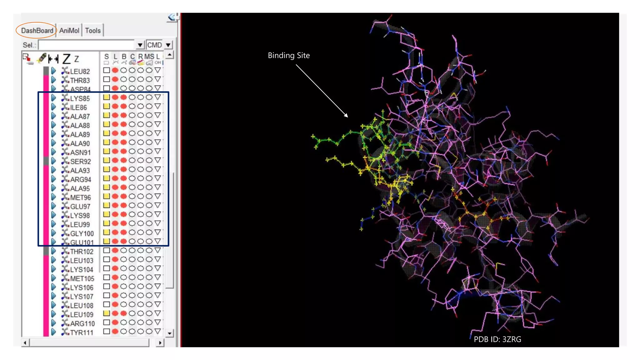Molecular Docking Using Autodock Tools Pptx Chemistry Science
