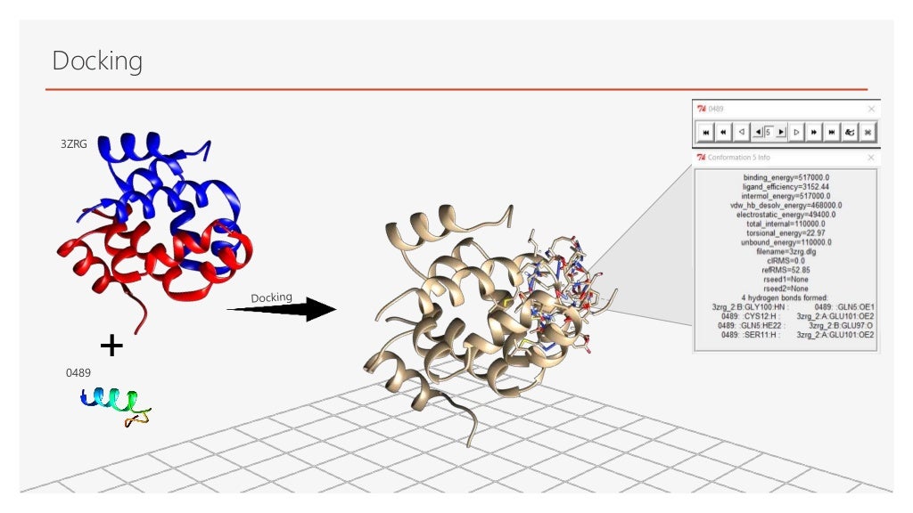 Molecular Docking Using Autodock Tools