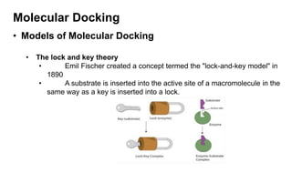 Steps for performing molecular docking using autodockvina | PDF