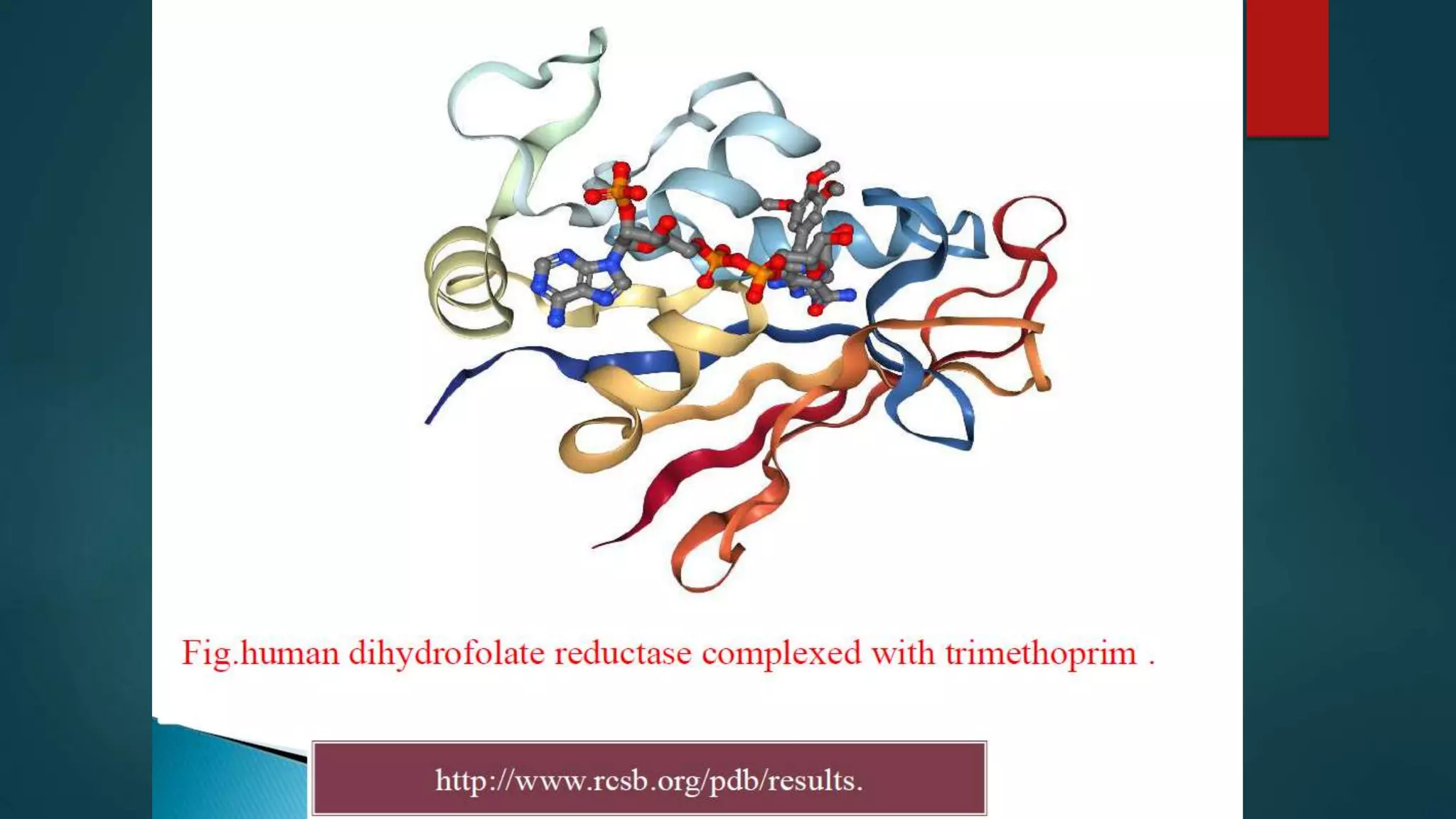 Molecular docking by harendra ...power point presentation | PPTX ...