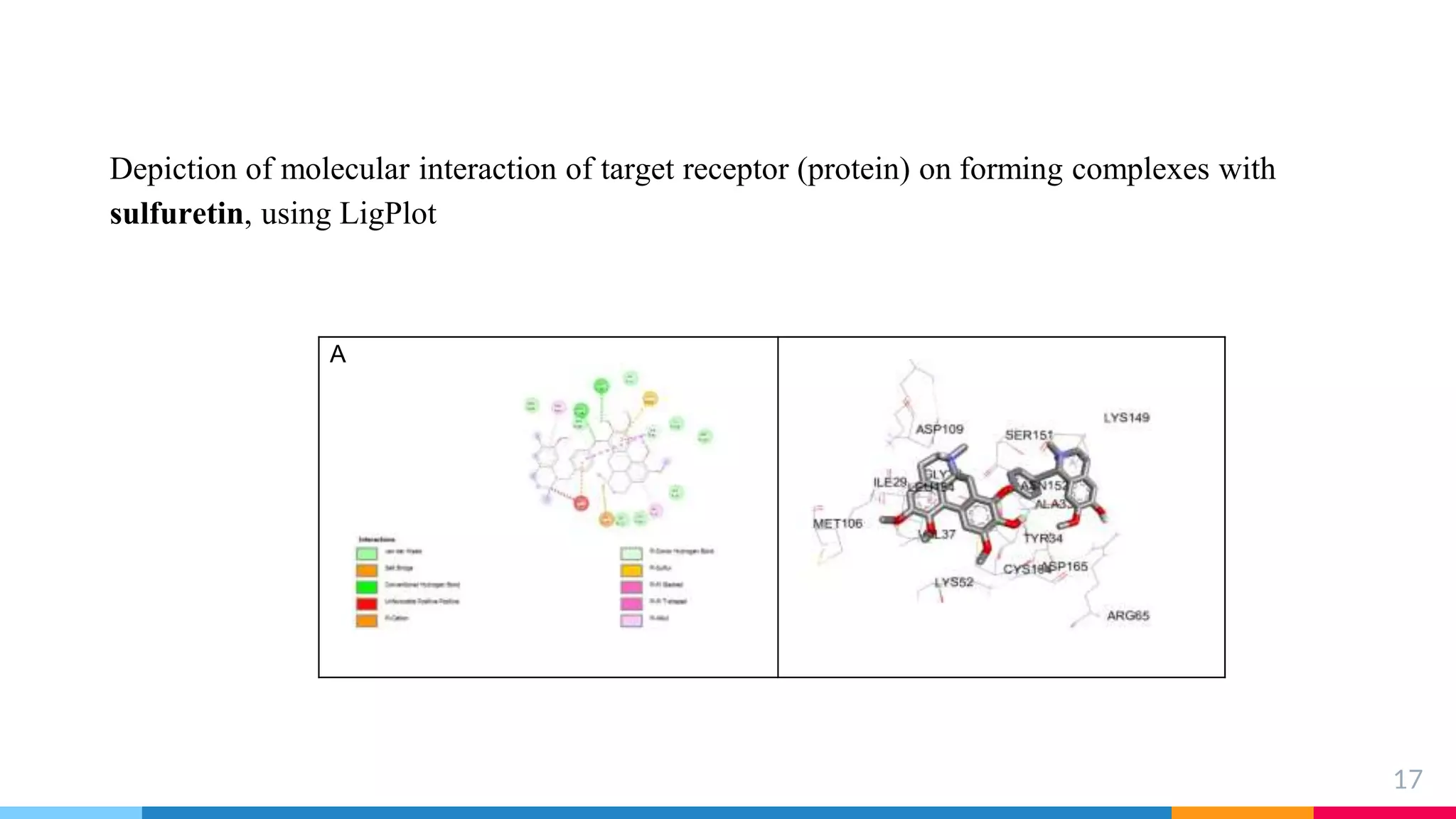 Molecular docking MAPK.pptx