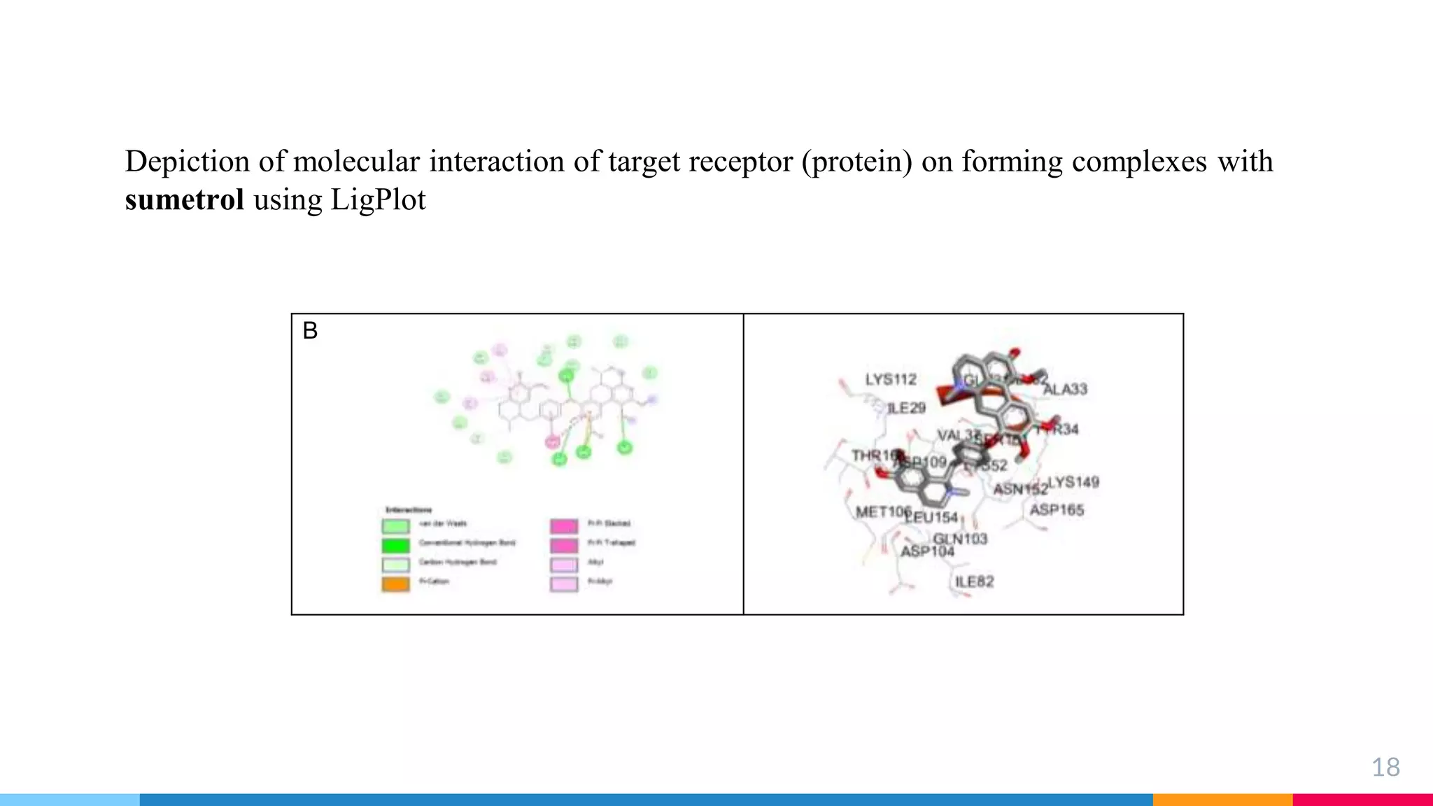 Molecular docking MAPK.pptx
