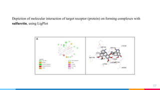 Molecular docking MAPK.pptx