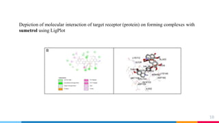 Molecular docking MAPK.pptx