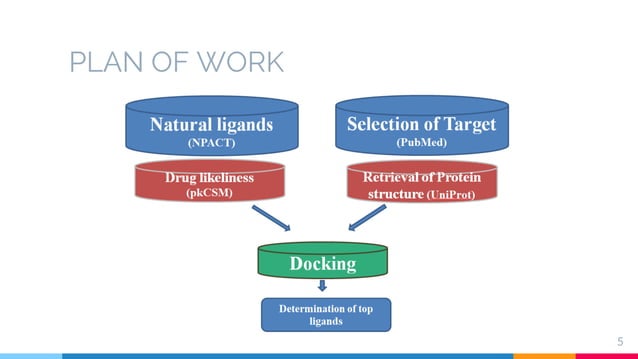 Molecular docking MAPK.pptx