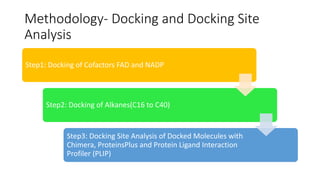 Molecular Docking Presentation.pptx