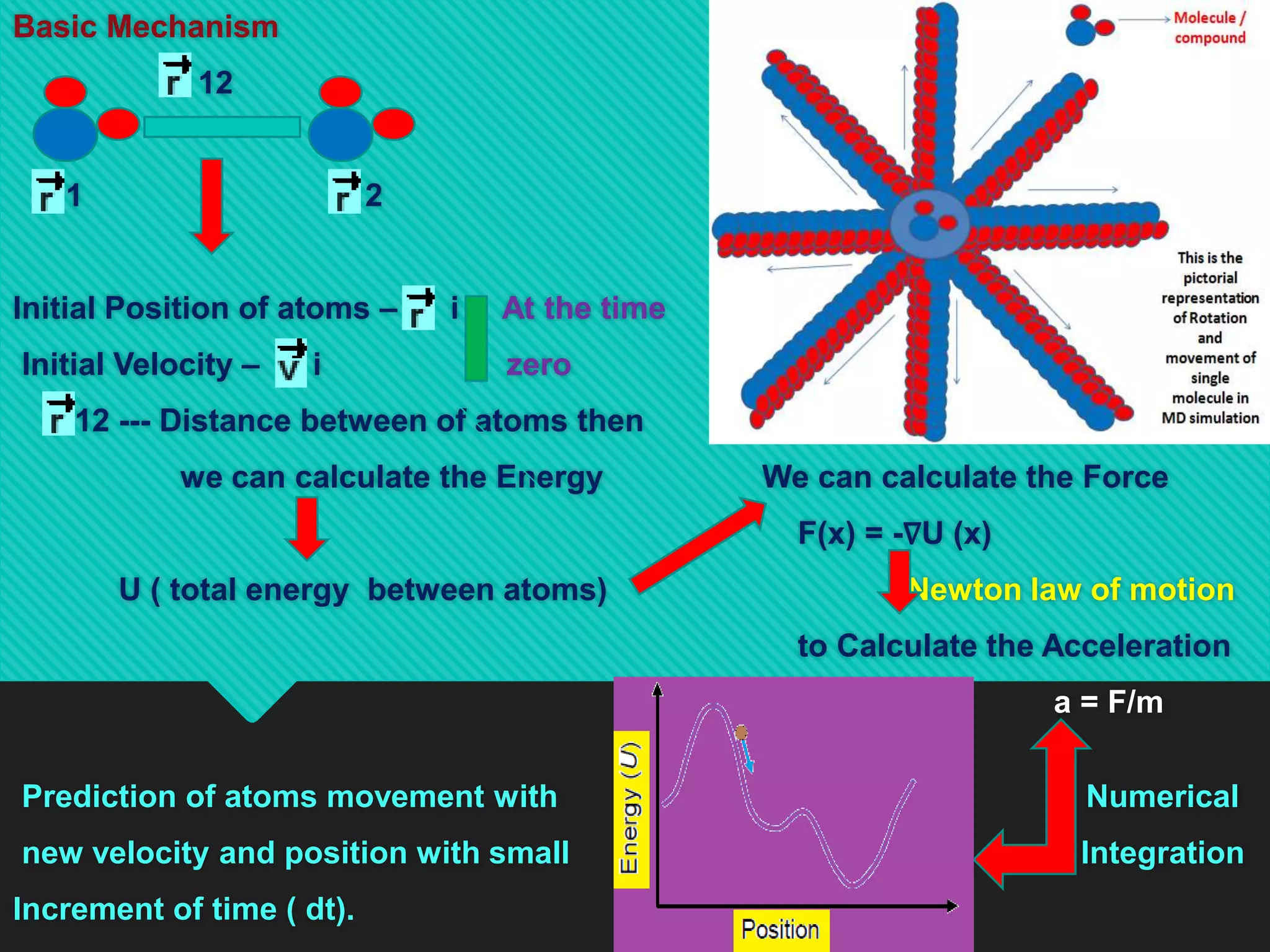 Molecular dynamics and namd simulation | PPTX