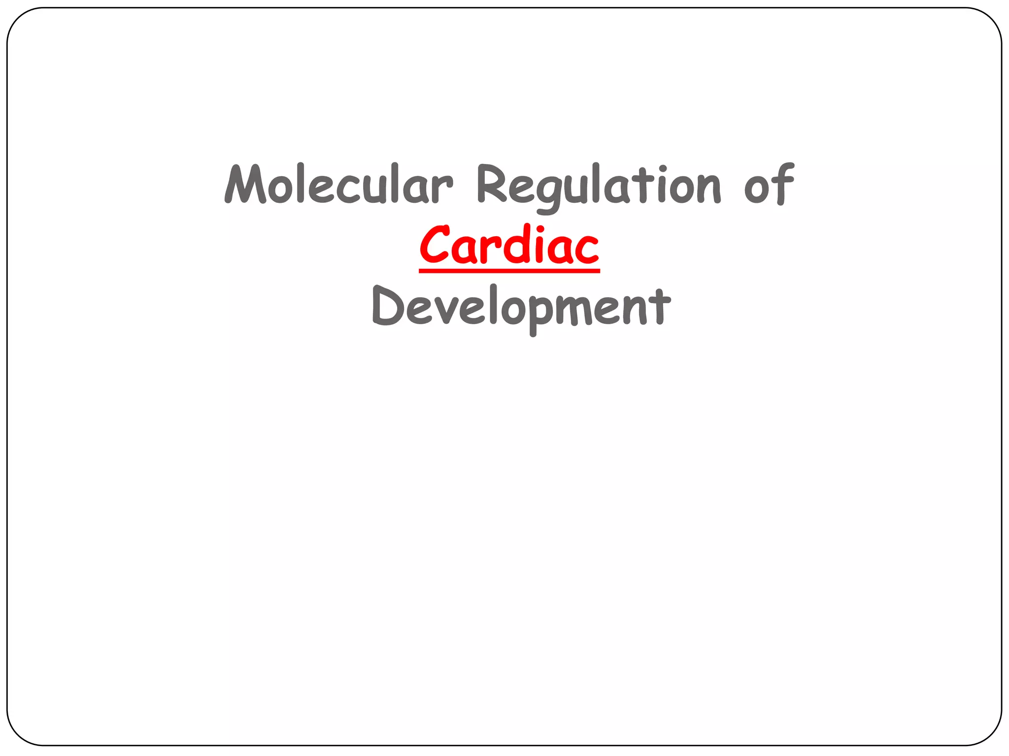 Molecular Embryology PART 1 | PPTX