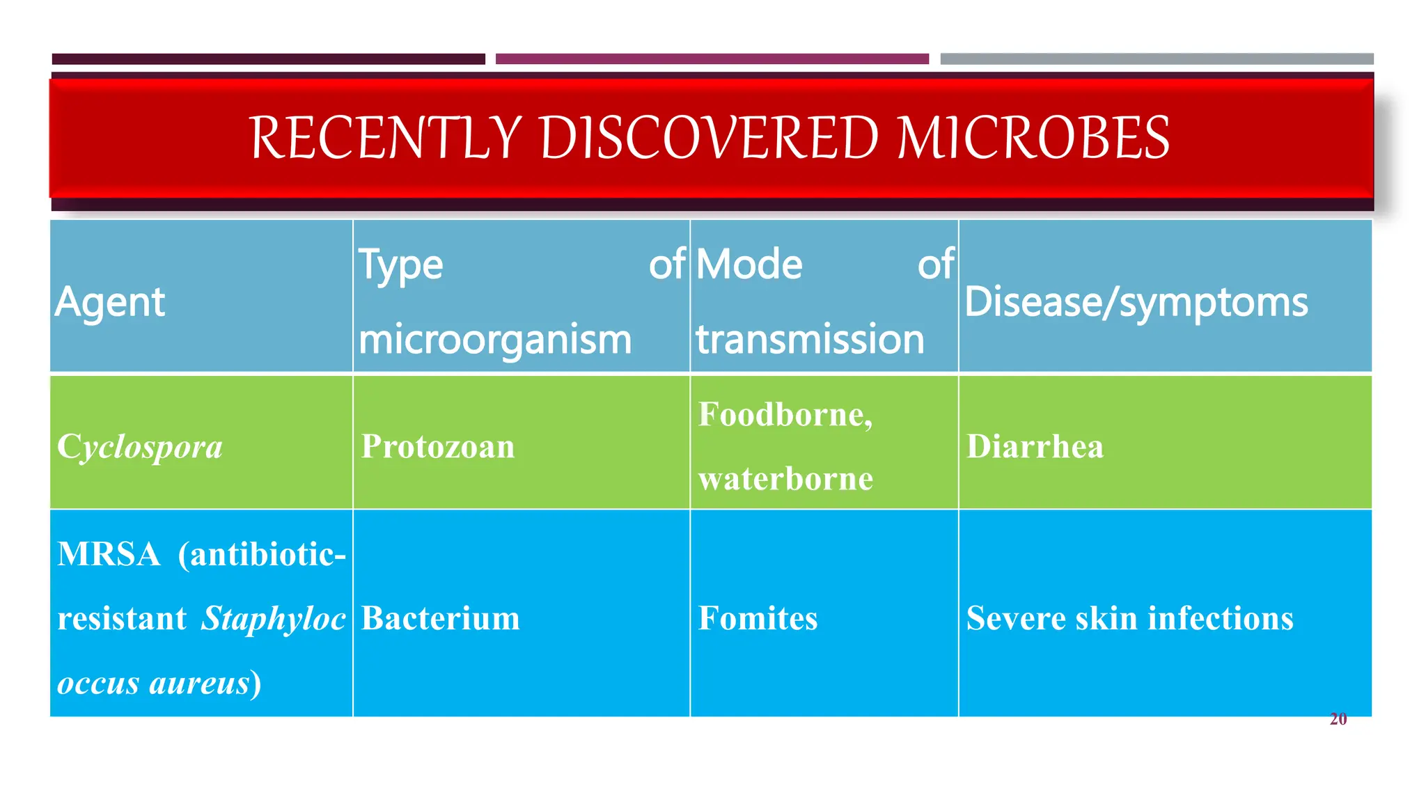 Molecular Environmental Microbiology.ppt