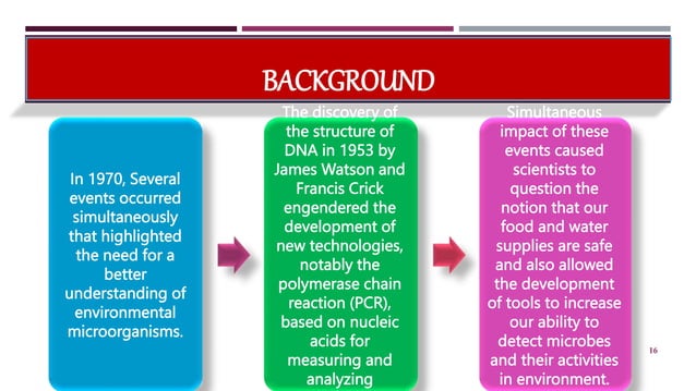 Molecular Environmental Microbiology.ppt