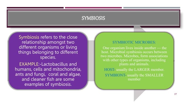Molecular Environmental Microbiology.ppt