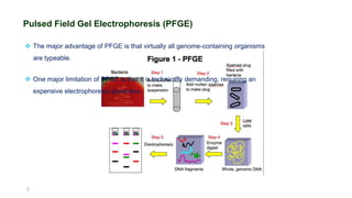 Molecular epidmiology | PPT