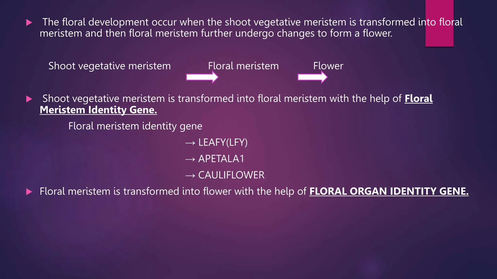 MOLECULAR EVENTS OF FLOWERING DEVELOPMENT.pptx
