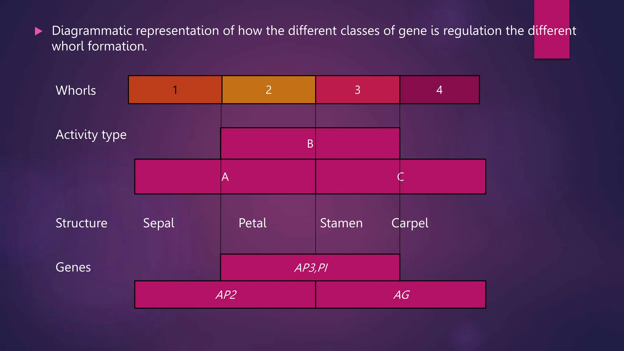 MOLECULAR EVENTS OF FLOWERING DEVELOPMENT.pptx