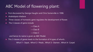 MOLECULAR EVENTS OF FLOWERING DEVELOPMENT.pptx