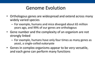 Molecular evolution | PPTX