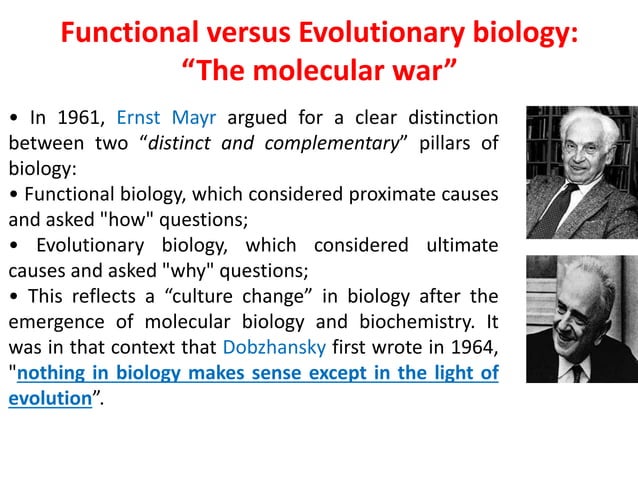 Molecular evolution | PPTX