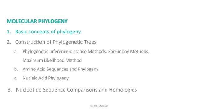 Molecular evolution | PPT