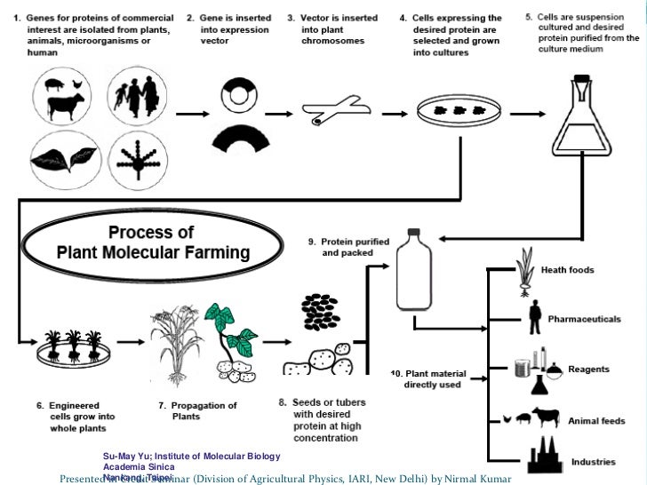 Molecular farming