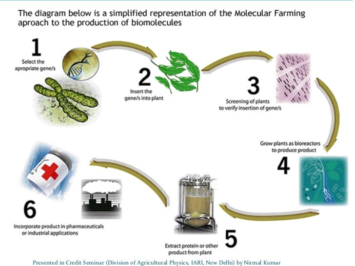 Molecular farming