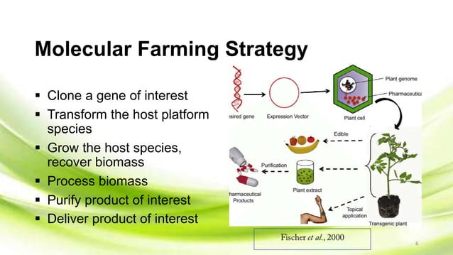 Molecular farming of biopharmacuetical | PPTX
