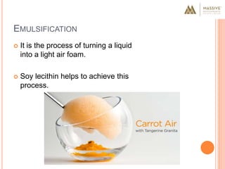 Molecular Gastronomy (1).pptx