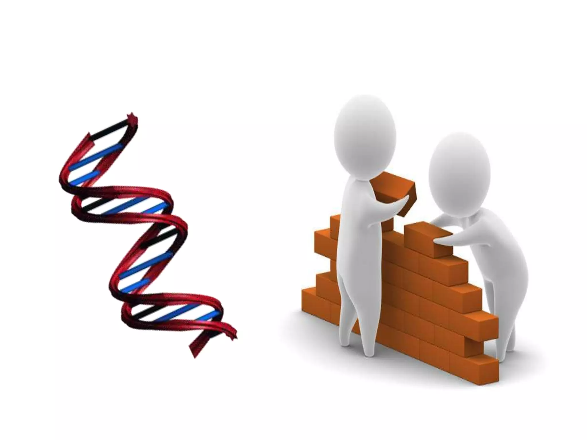 Molecular Gene Cloning Pptx 5379
