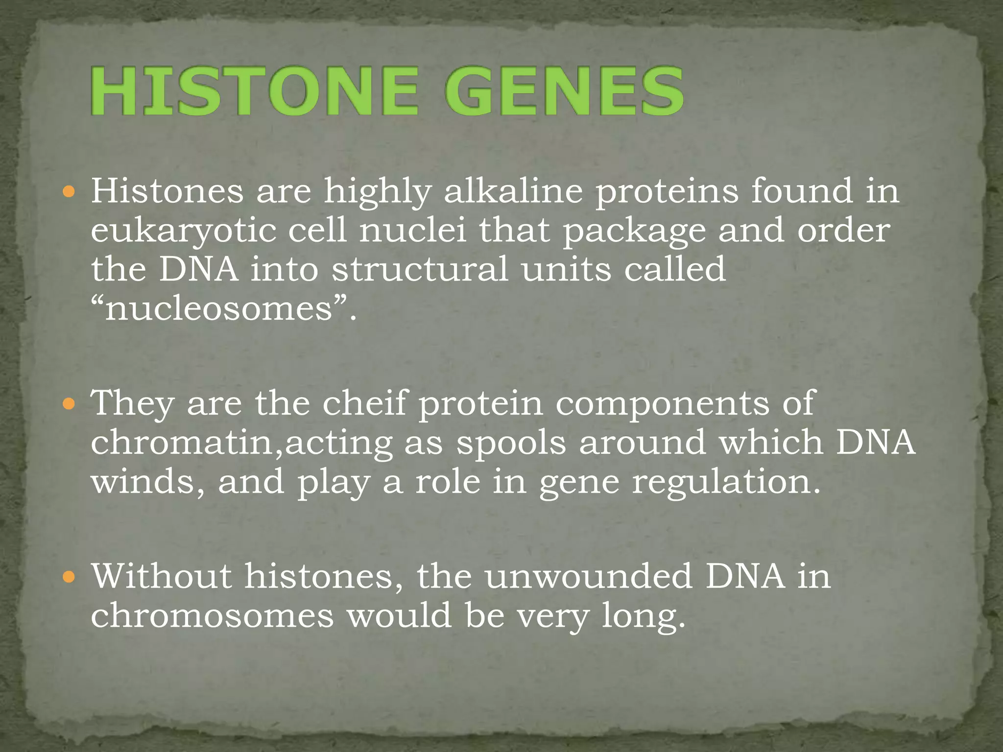 Molecular gene family | PPTX